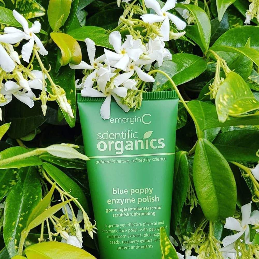 Products - Heavenly Bliss Beauty